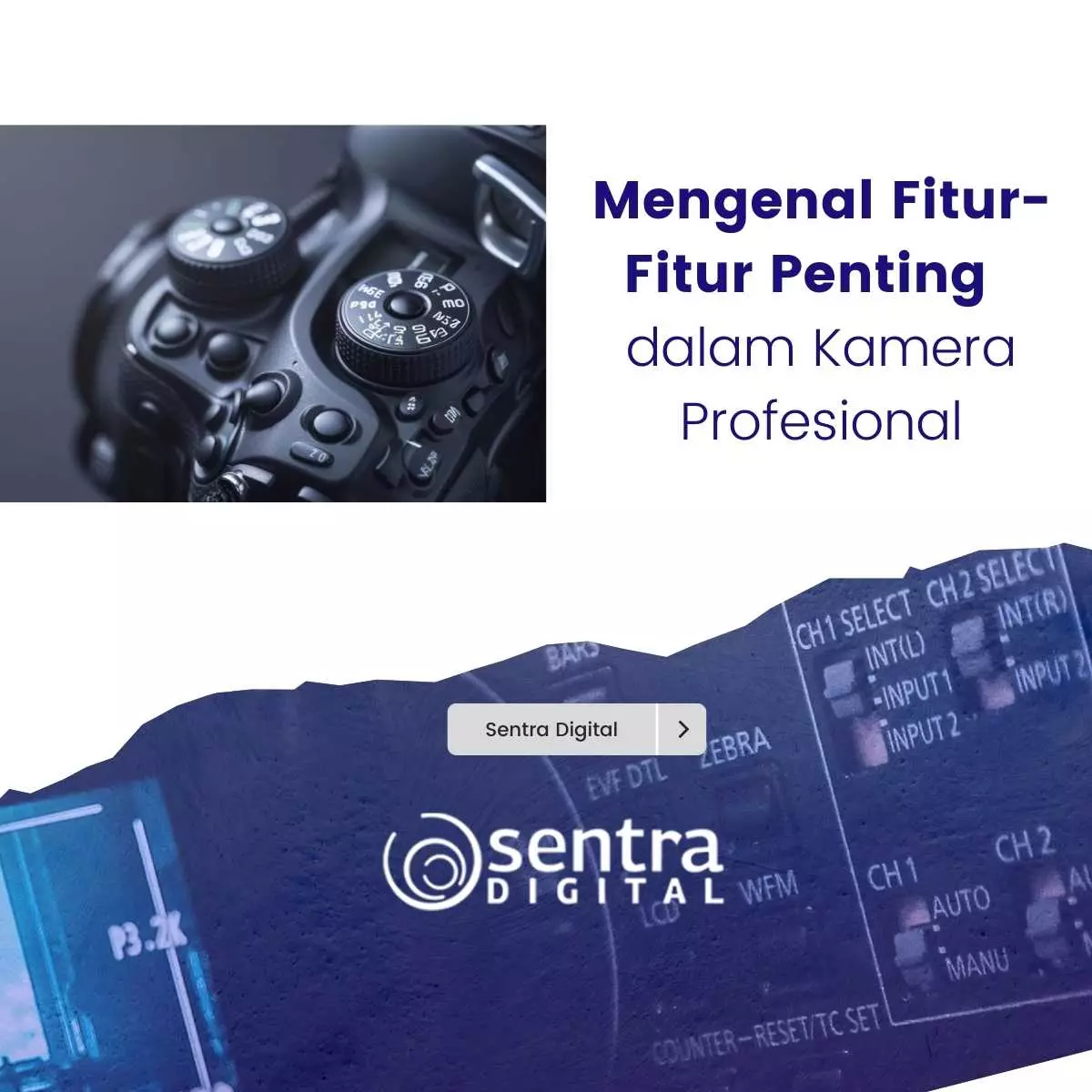 Mengenal Fitur-Fitur Penting Dalam Kamera Profesional